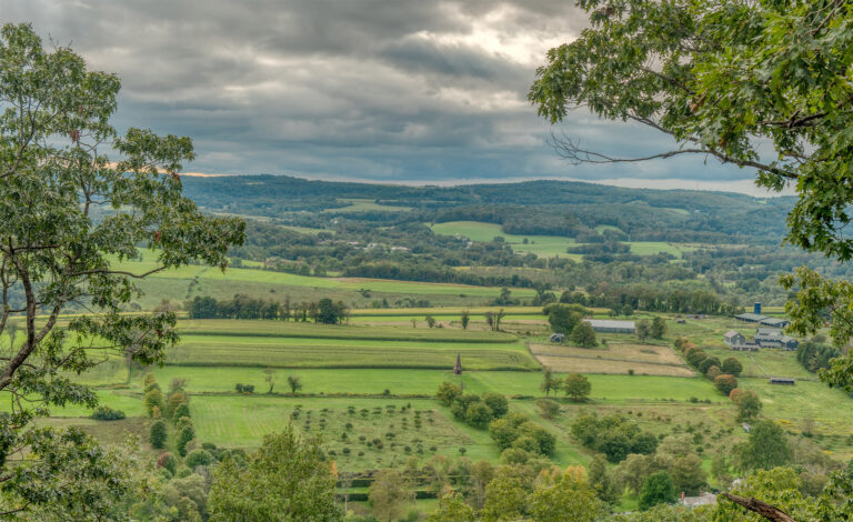 Mary Moore Preserve - Sharon Land Trust